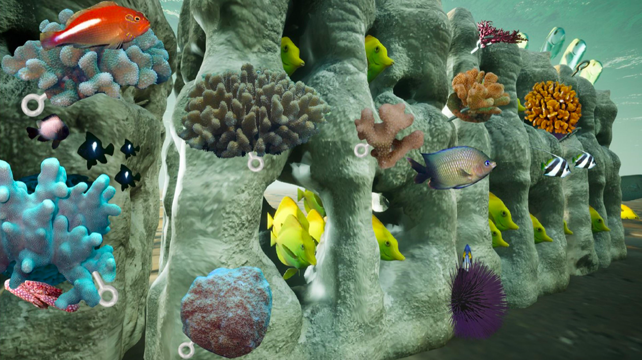 $9M grant aims to restore Waikīkī reefs with coral nurseries