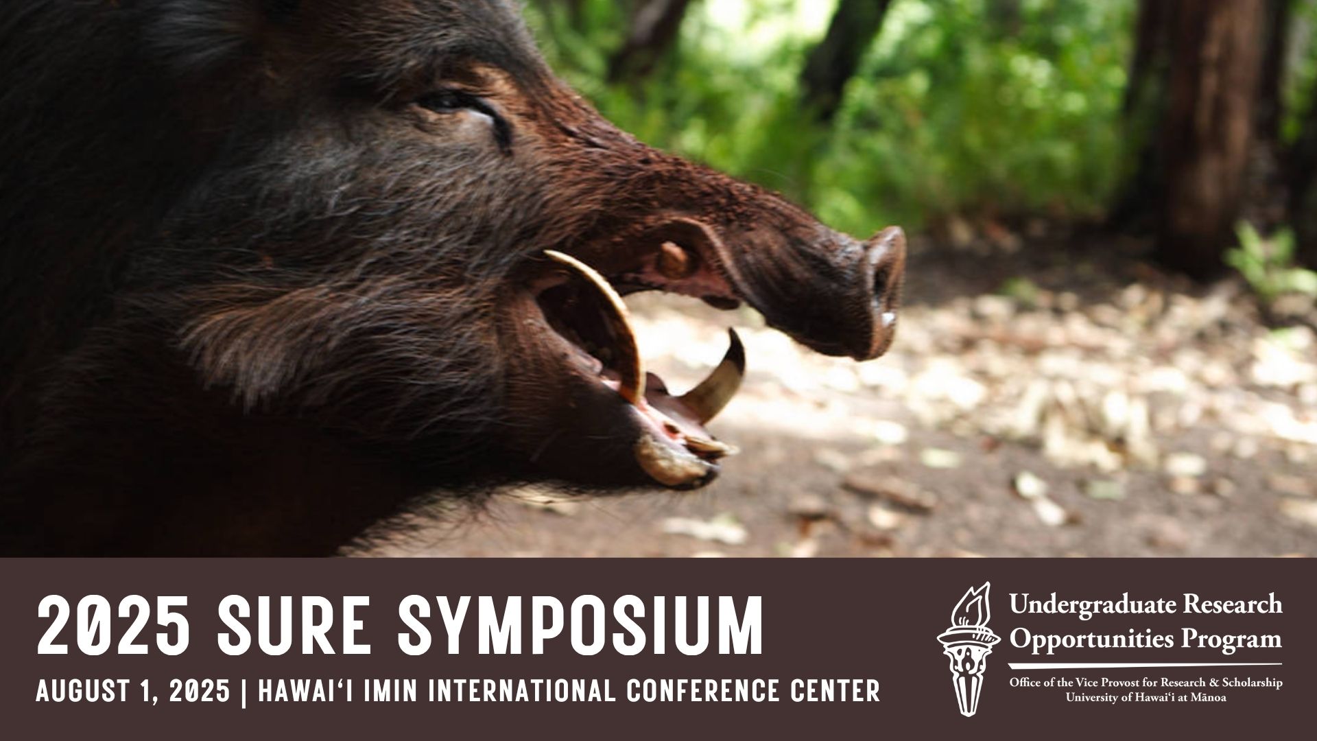 SURE Symposium Event Program – Undergraduate Research Opportunities Program
